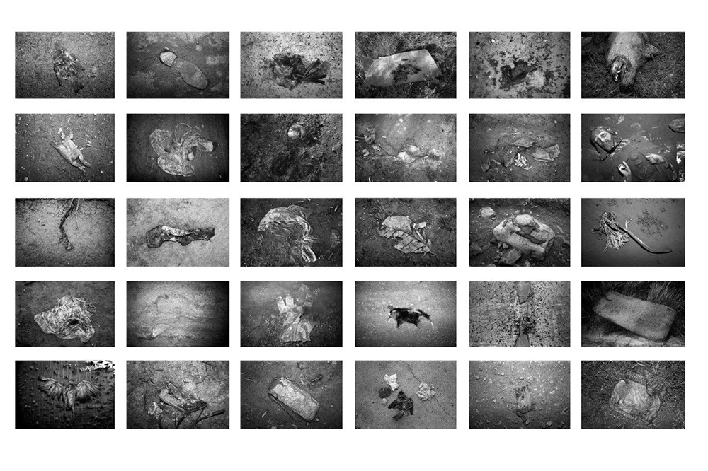 Premio Pampa Energía – FOLA 2019 – FOLA